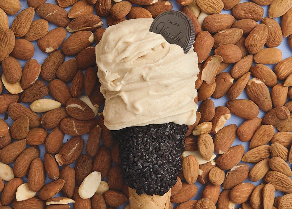 Venchi Fine Italian Chocolate Since 1878 – Venchi Arabia